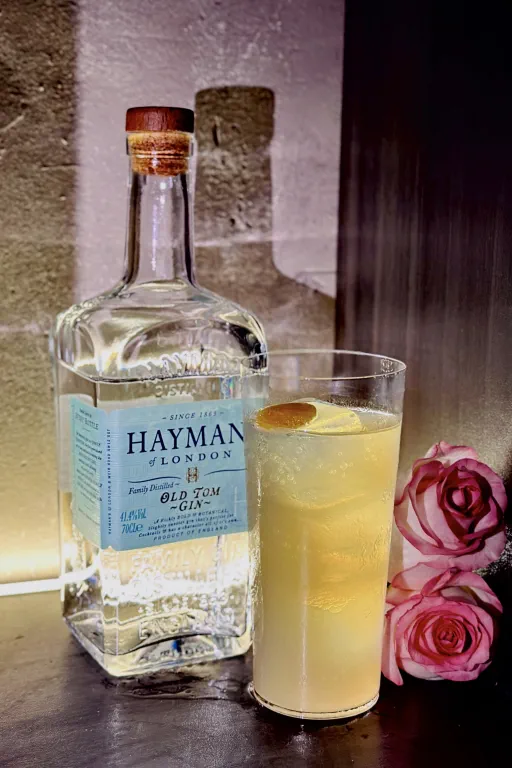 Tom Cider Cocktail Recipe | Master Bartender