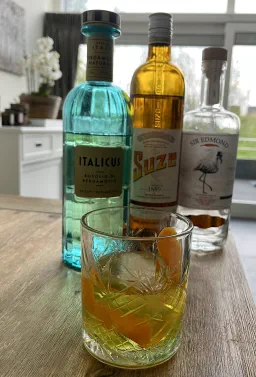 Orange Gila Cocktail Recipe | Discerning Drinker