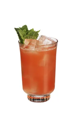 Funky Watermelon Cocktail Recipe
