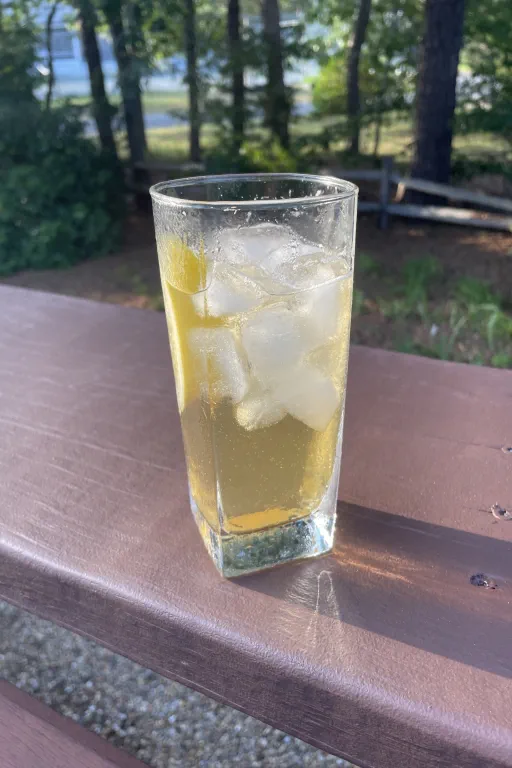 Whiskey Tonic Cocktail Recipe | Discerning Drinker