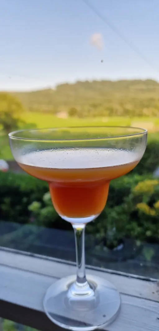 Sunset Dreams Cocktail Recipe | Discerning Drinker